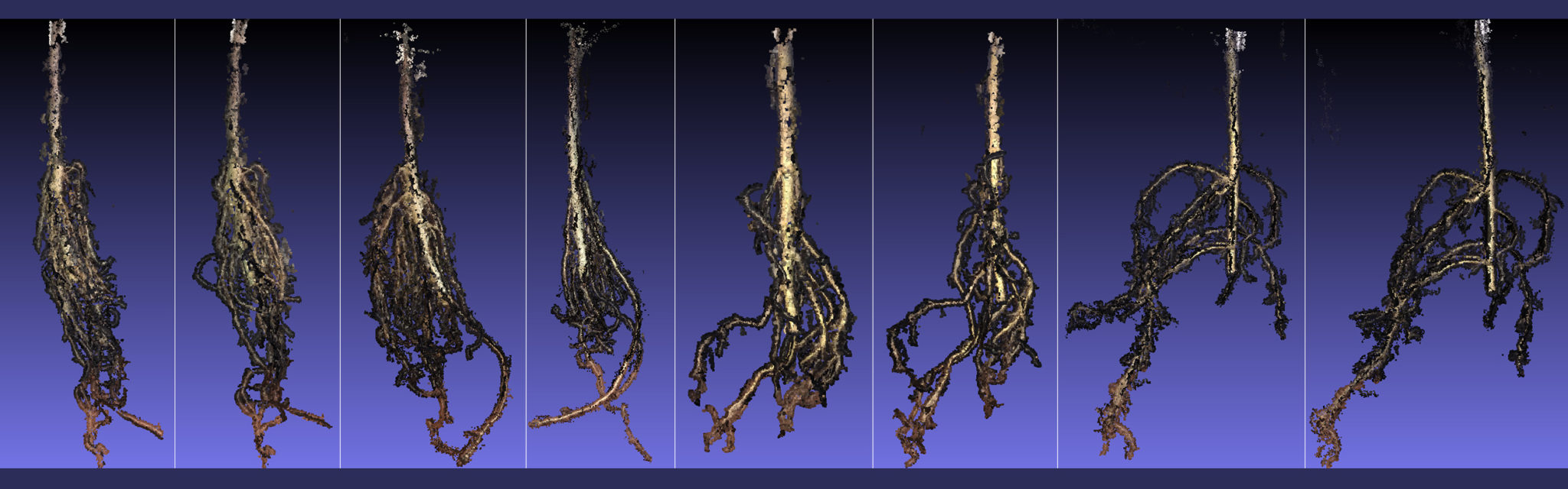 Computer Vision & Imaging